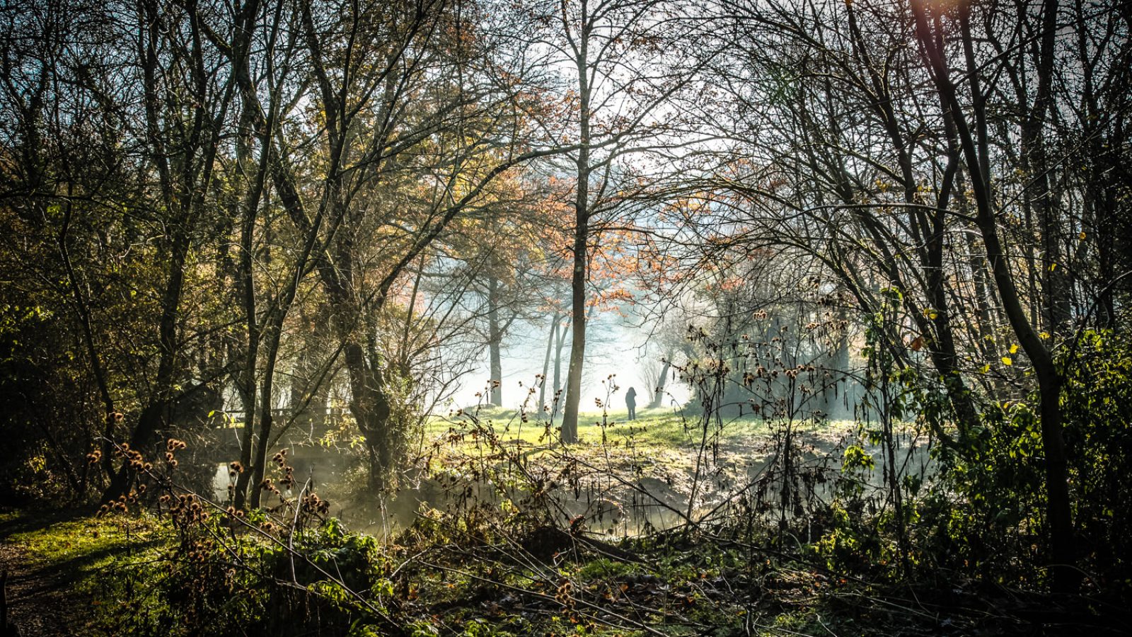 Orvault - Cabinet Pichelin